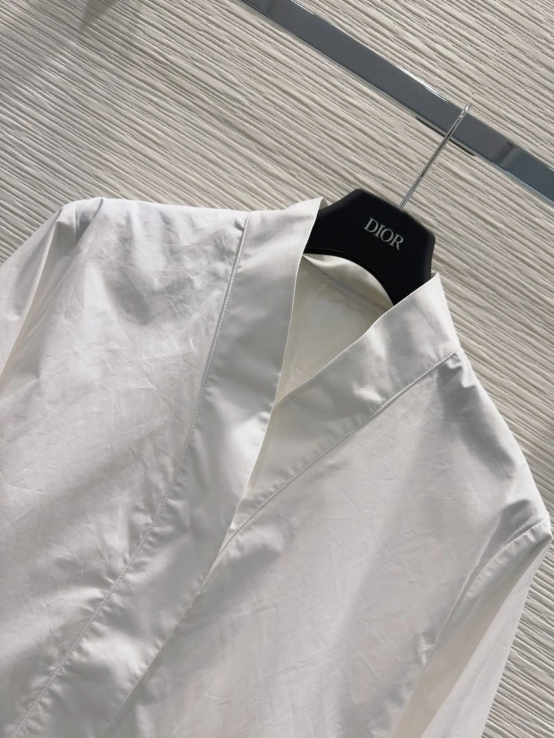 Cut-rate Christian Dior Shirts