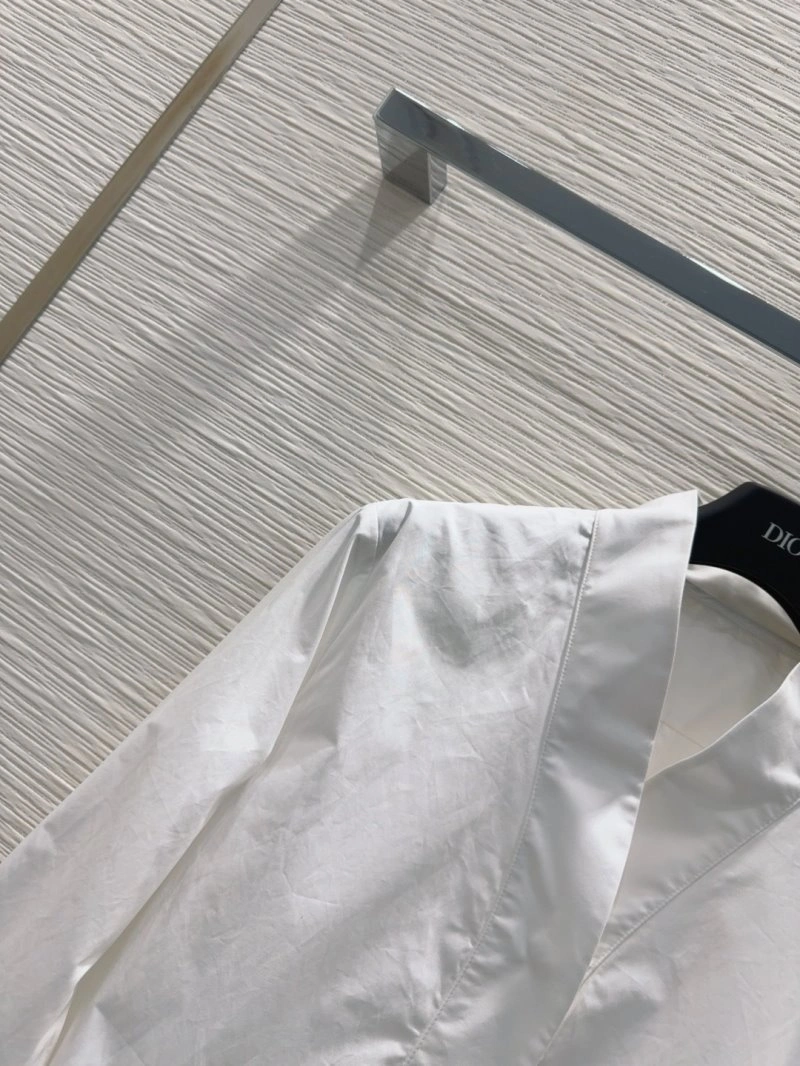 Cut-rate Christian Dior Shirts