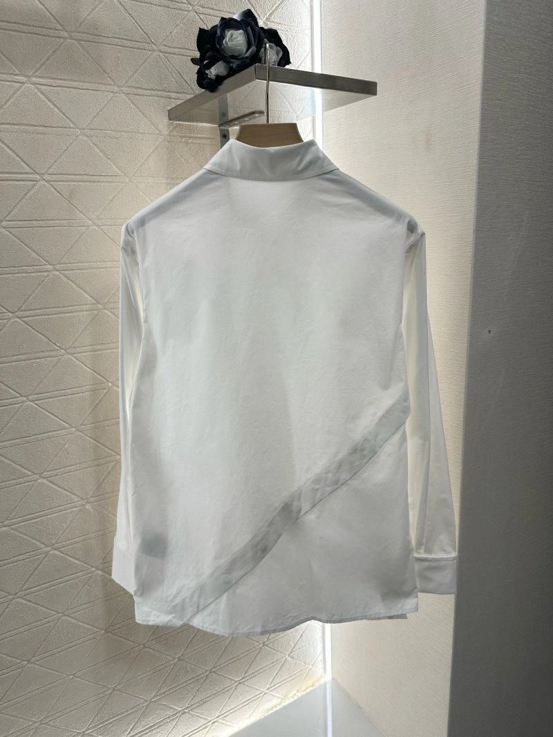 Accurate model Christian Dior Shirts