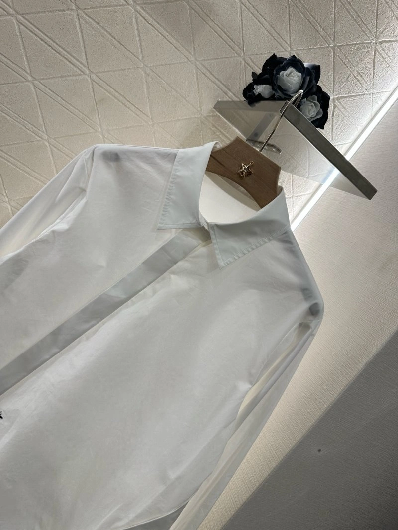 Accurate model Christian Dior Shirts