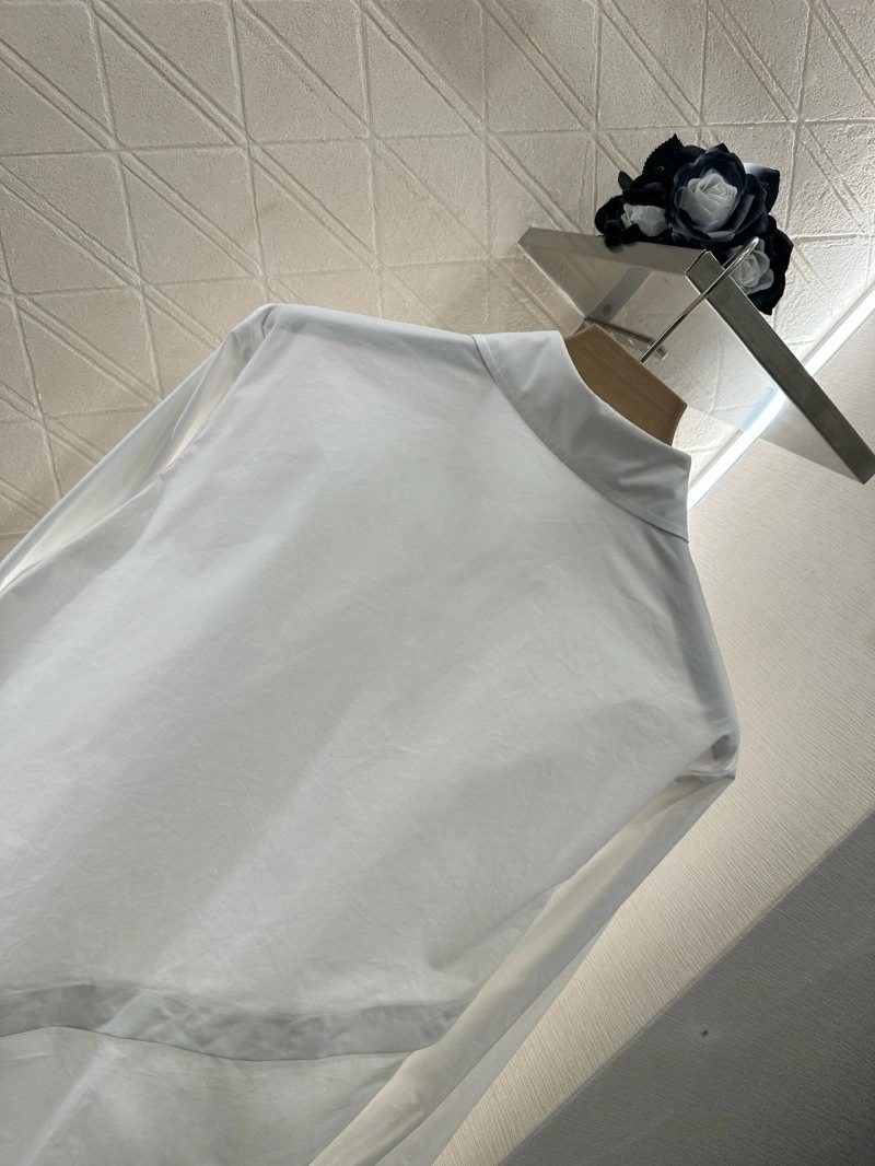 Accurate model Christian Dior Shirts