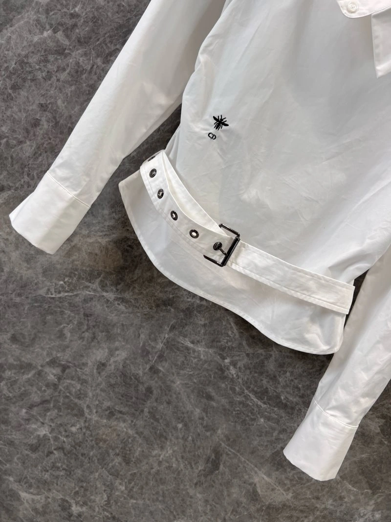 1:1 copy Christian Dior Shirts