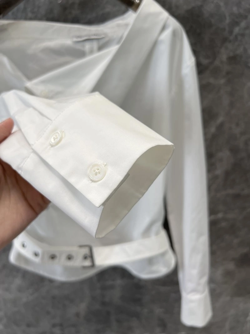 1:1 copy Christian Dior Shirts