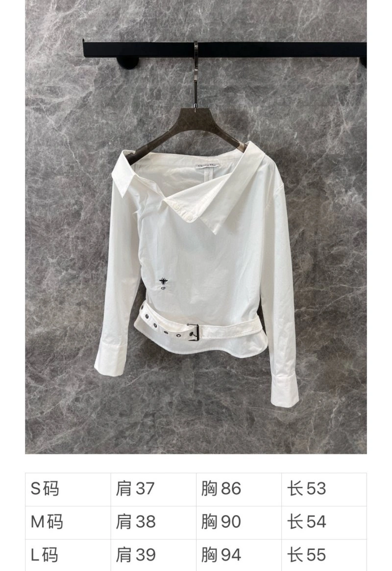 1:1 copy Christian Dior Shirts