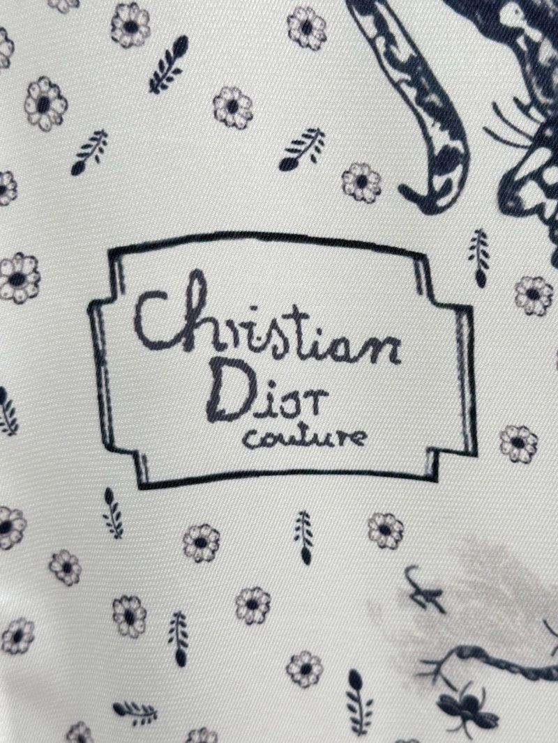 Indistinguishable Christian Dior Shirts