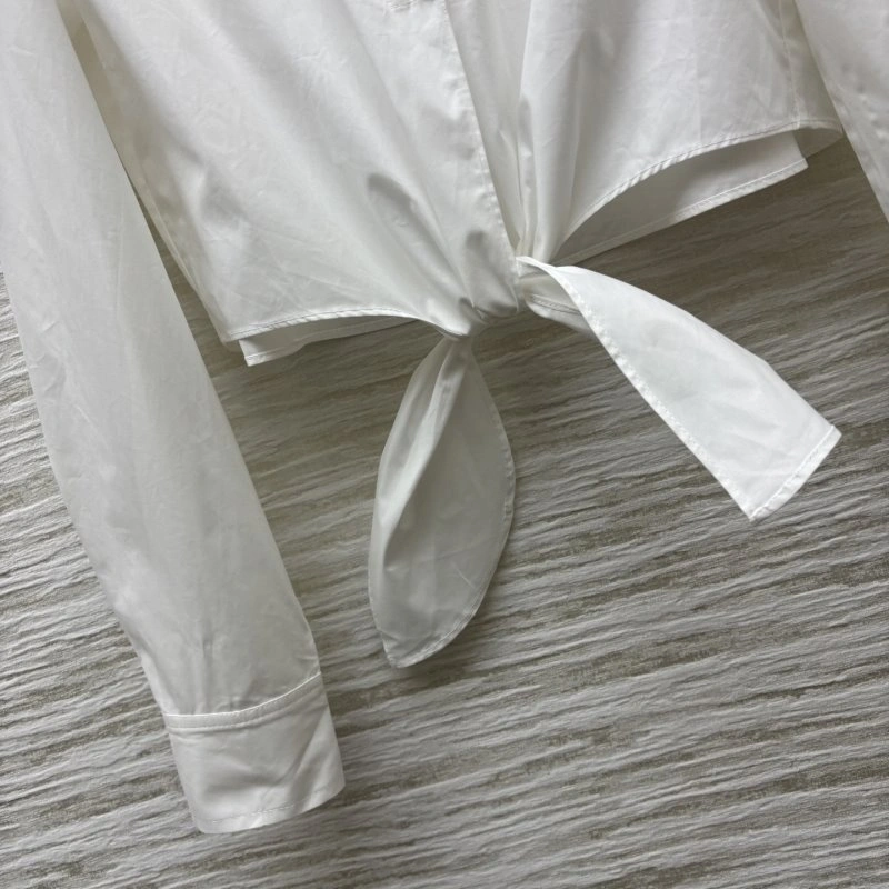 Budget-friendly Christian Dior Shirts