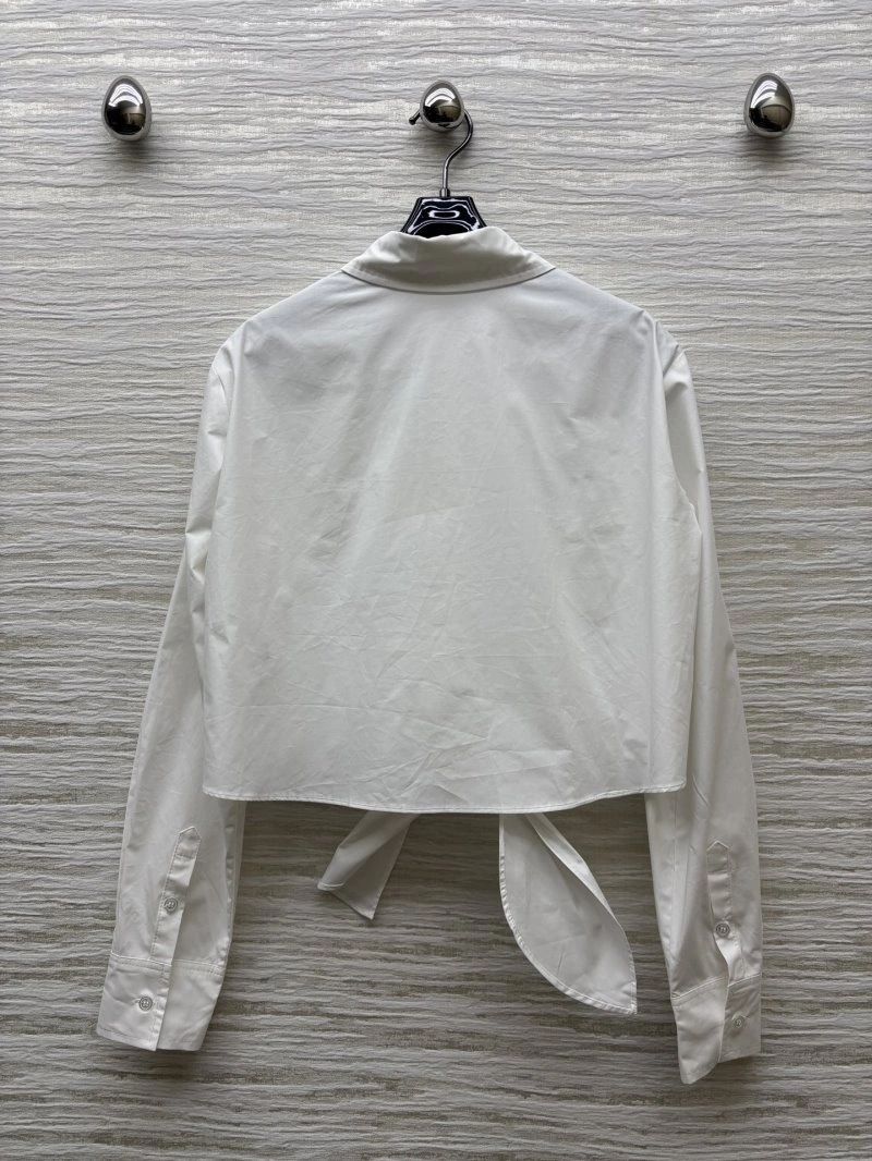 Budget-friendly Christian Dior Shirts