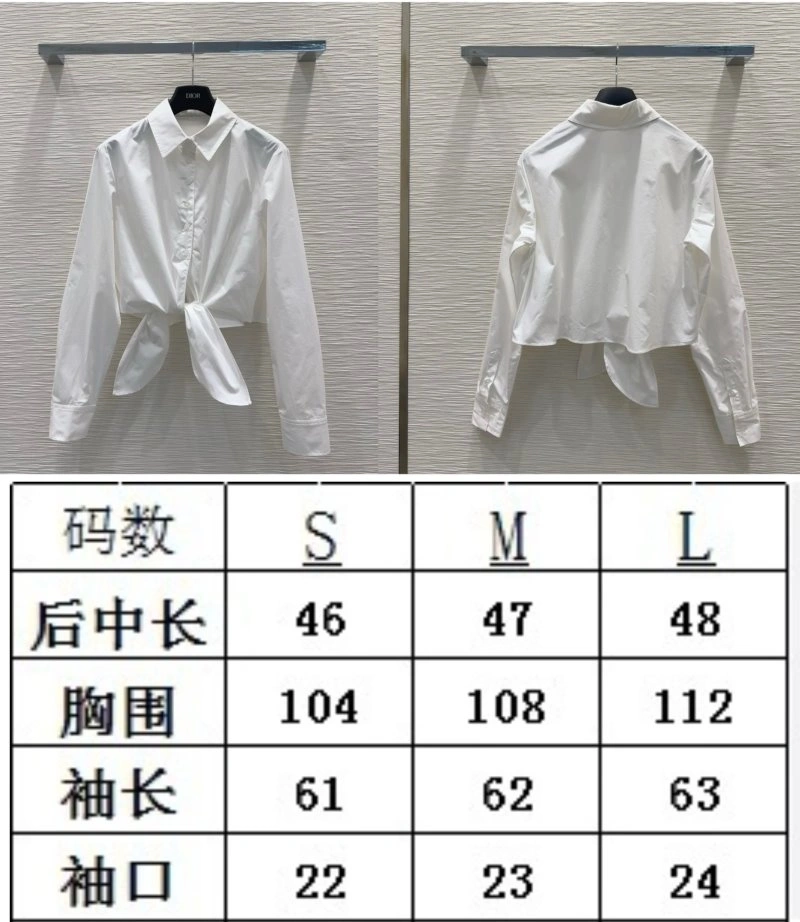 Exact replica Christian Dior Shirts