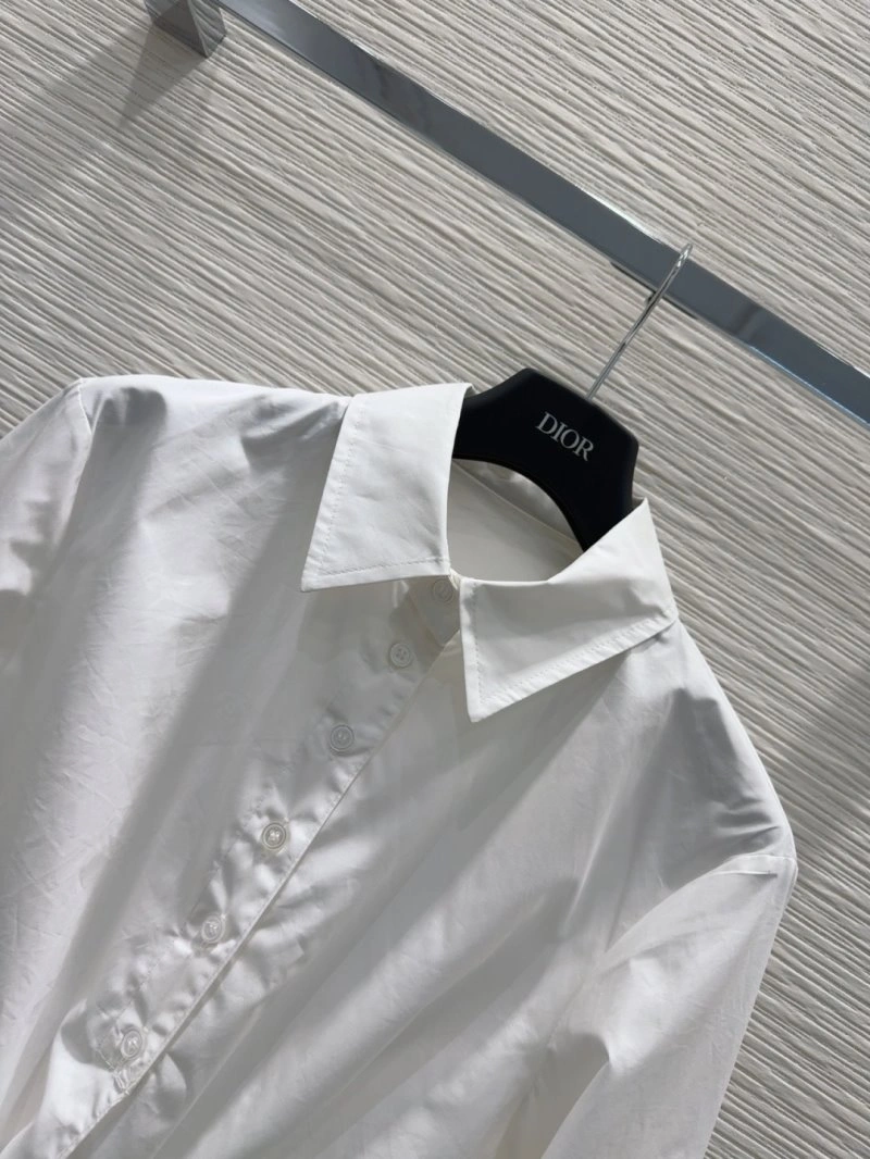 Exact replica Christian Dior Shirts