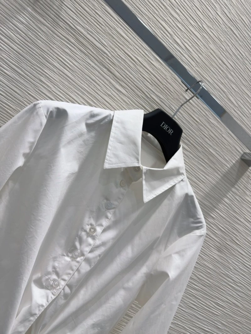 Exact replica Christian Dior Shirts