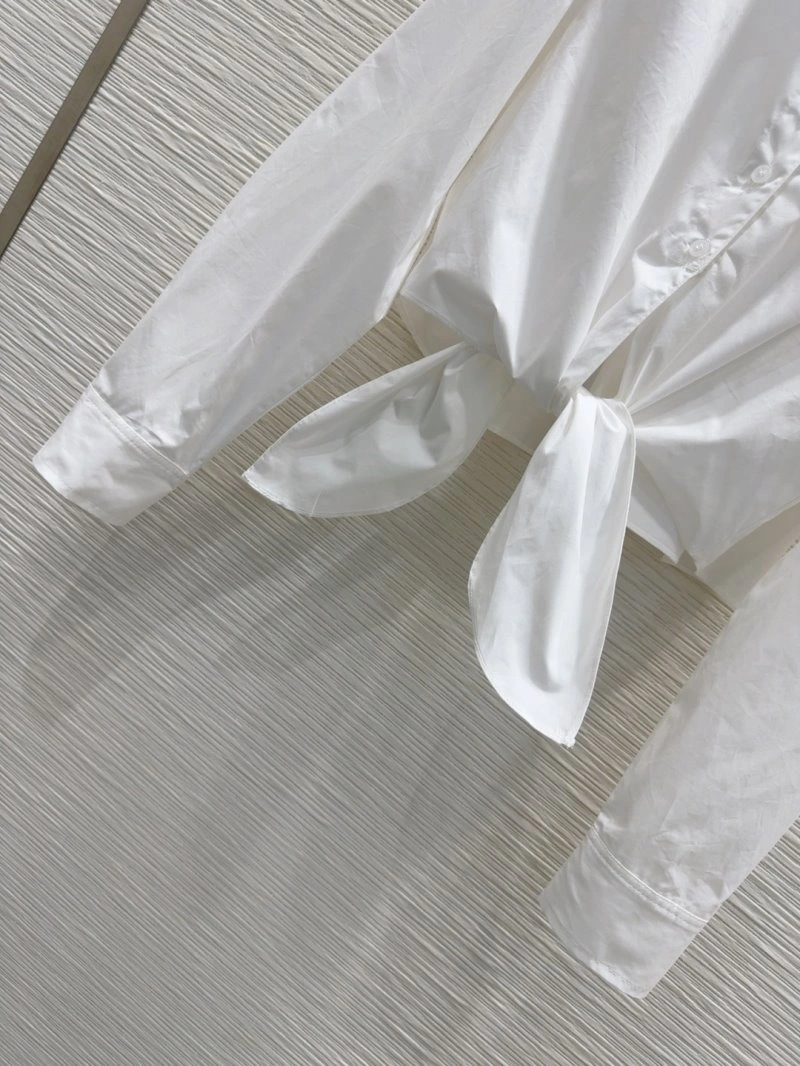 Exact replica Christian Dior Shirts