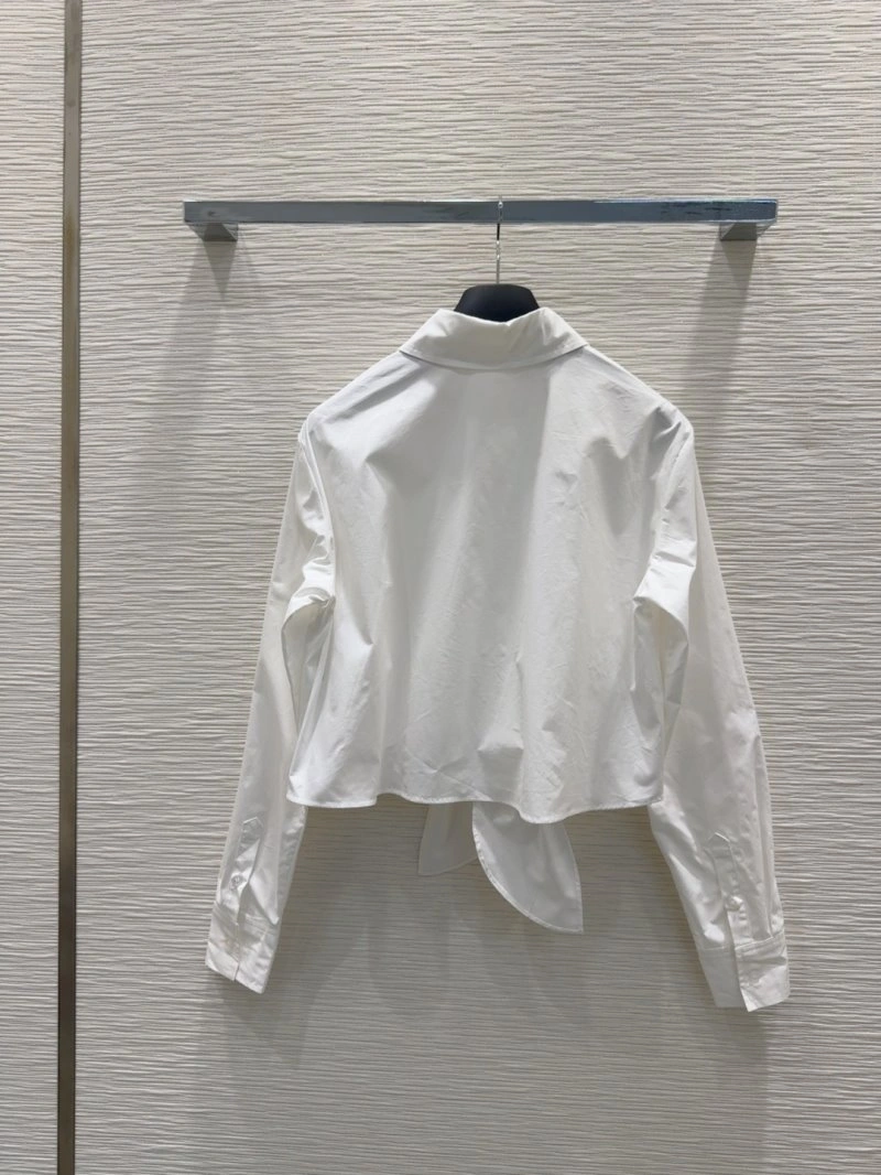 Exact replica Christian Dior Shirts
