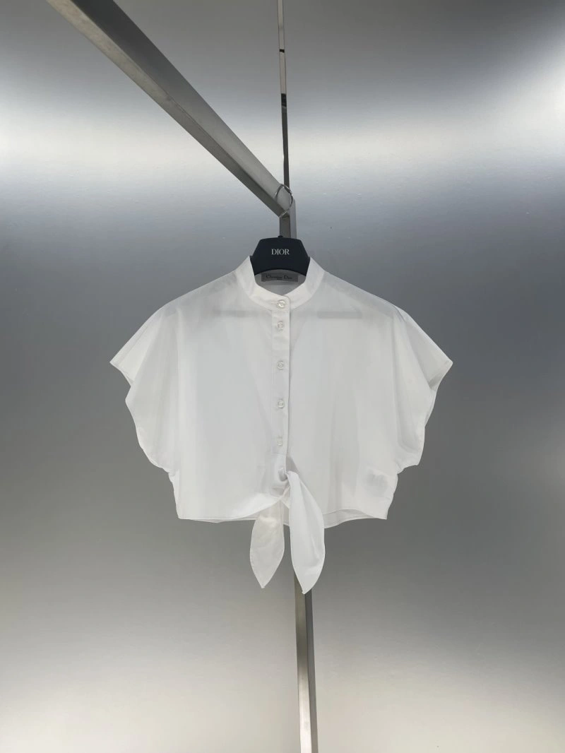Mirror quality Christian Dior Shirts