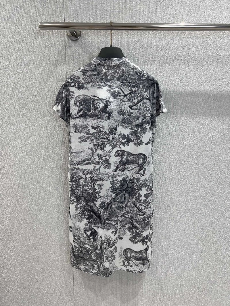 Affordable Christian Dior Shirts