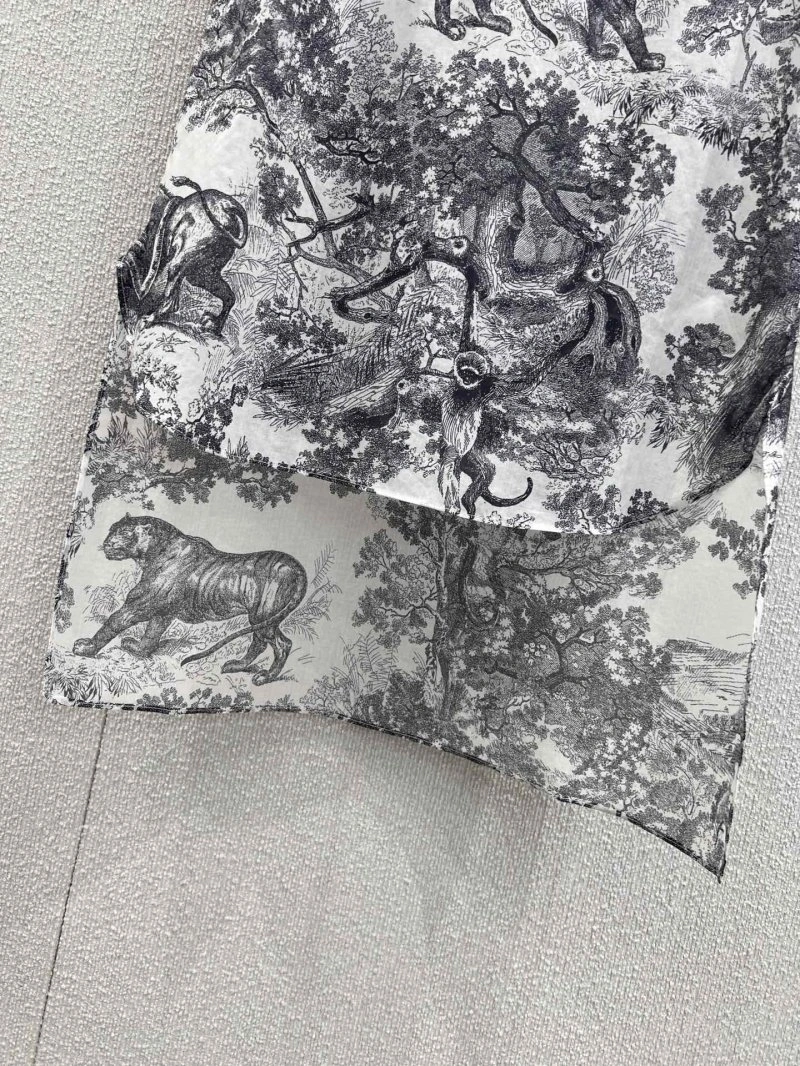 Affordable Christian Dior Shirts