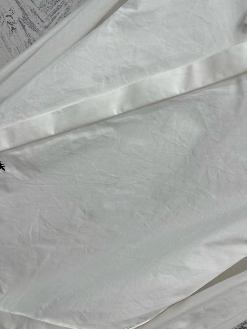Exact replica Christian Dior Shirts