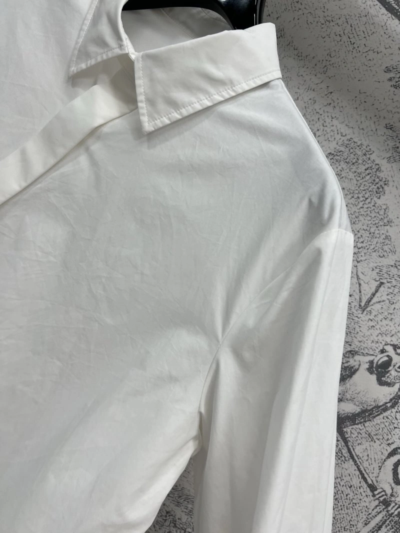 Exact replica Christian Dior Shirts