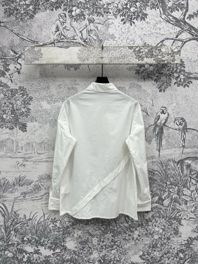 Exact replica Christian Dior Shirts
