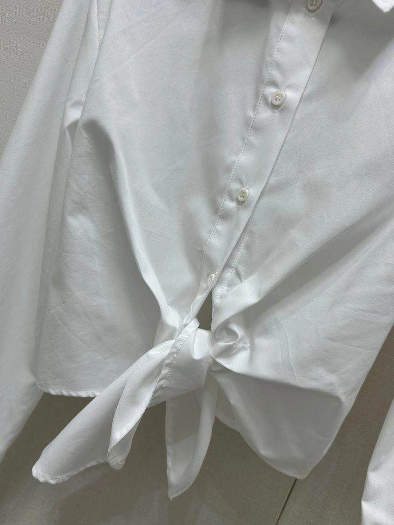 Discounted Christian Dior Shirts