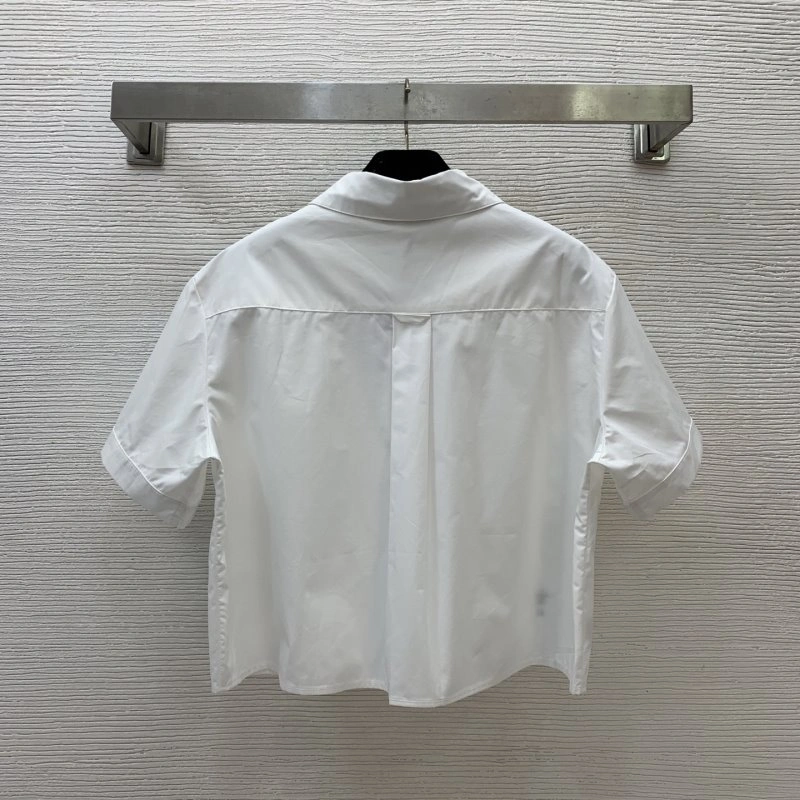 Economical Christian Dior Shirts