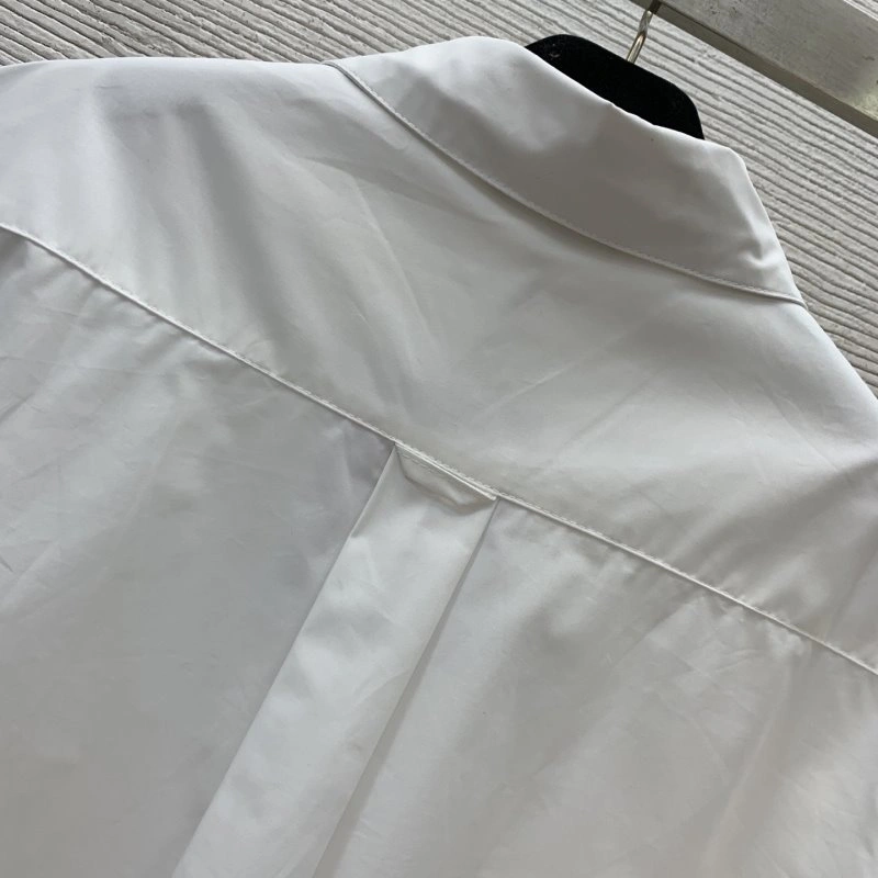 Economical Christian Dior Shirts
