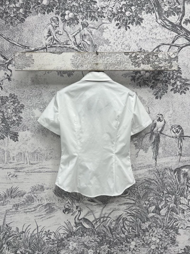 Cut-rate Christian Dior Shirts