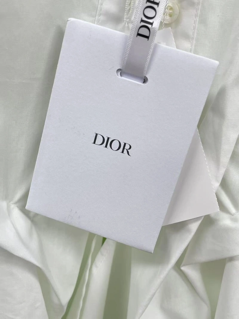 Indistinguishable Christian Dior Shirts