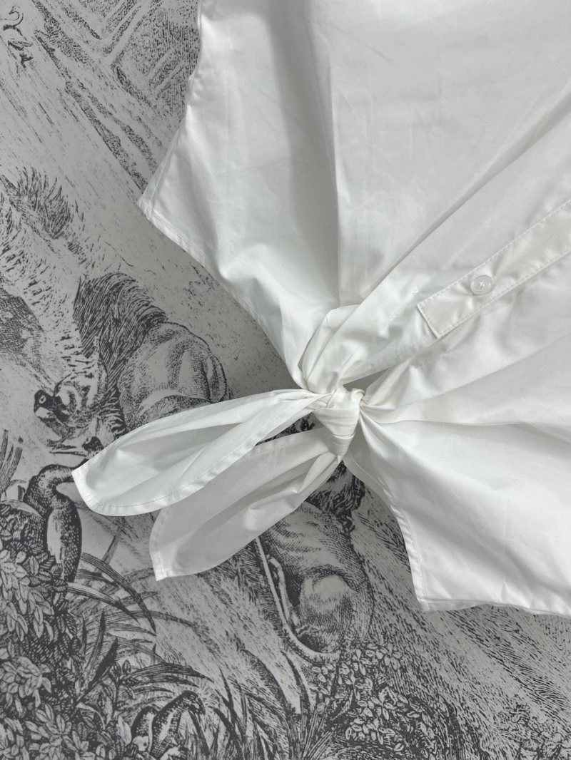 Precise copy Christian Dior Shirts