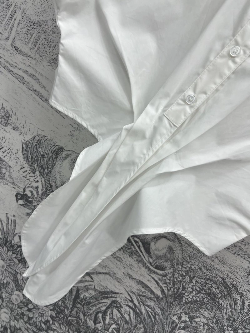 Precise copy Christian Dior Shirts