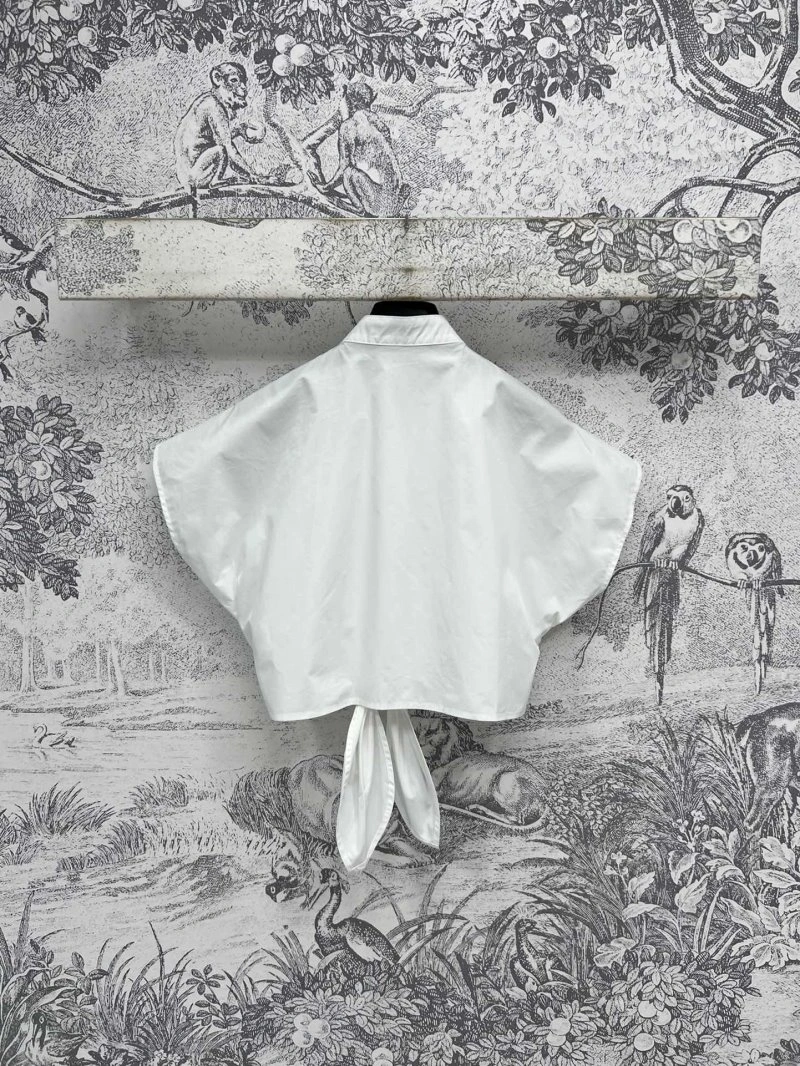 Precise copy Christian Dior Shirts