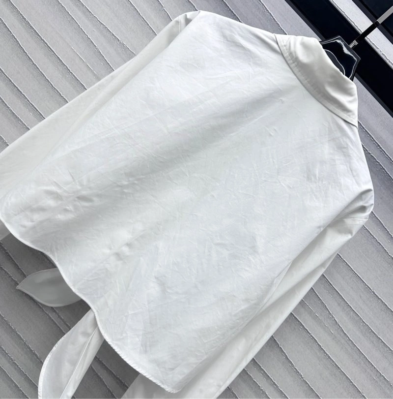Indistinguishable Christian Dior Shirts