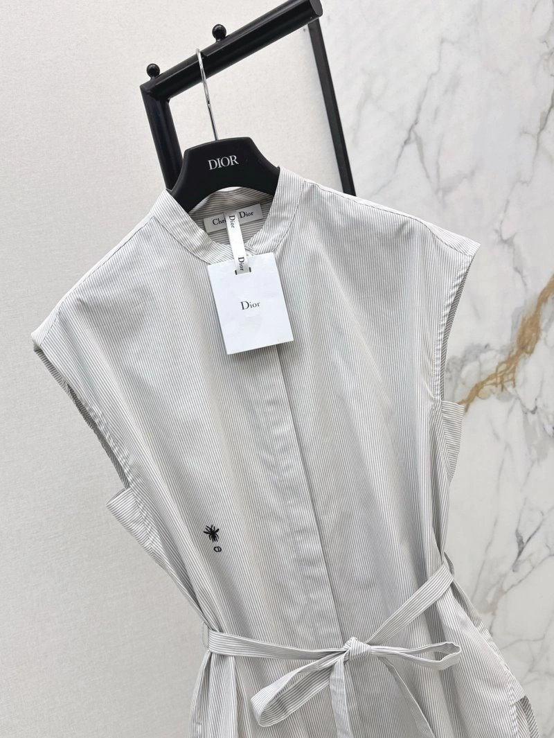 1:1 copy Christian Dior Shirts