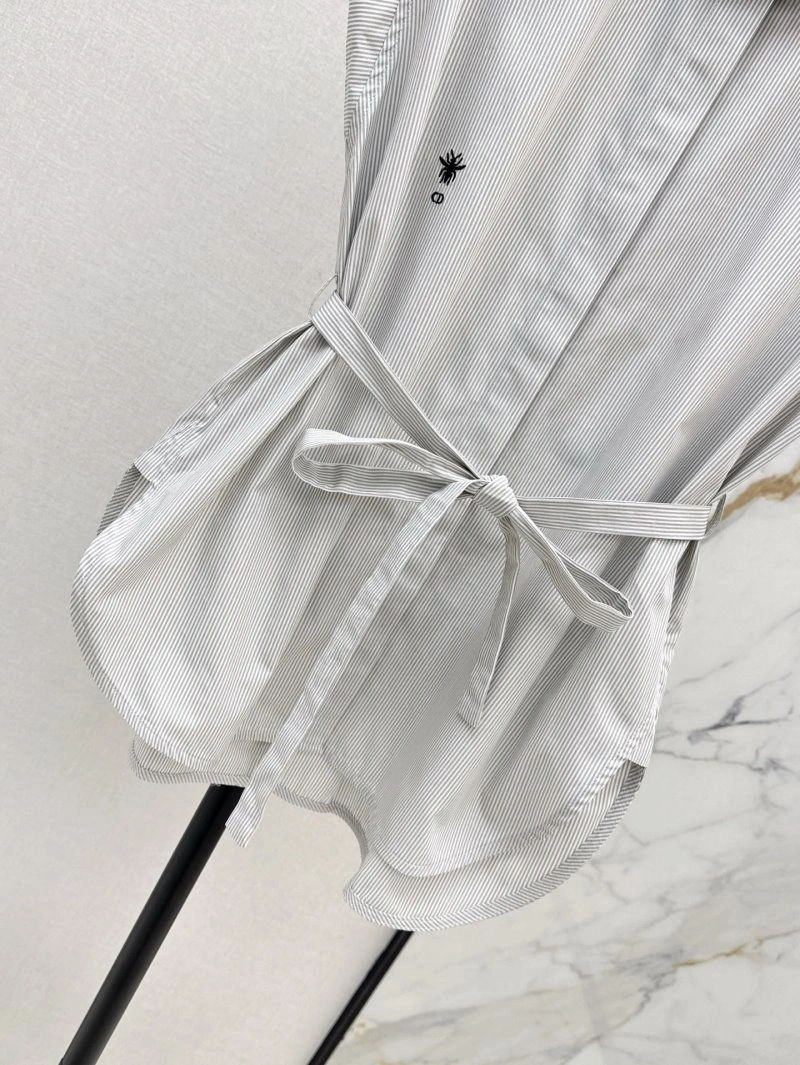 1:1 copy Christian Dior Shirts