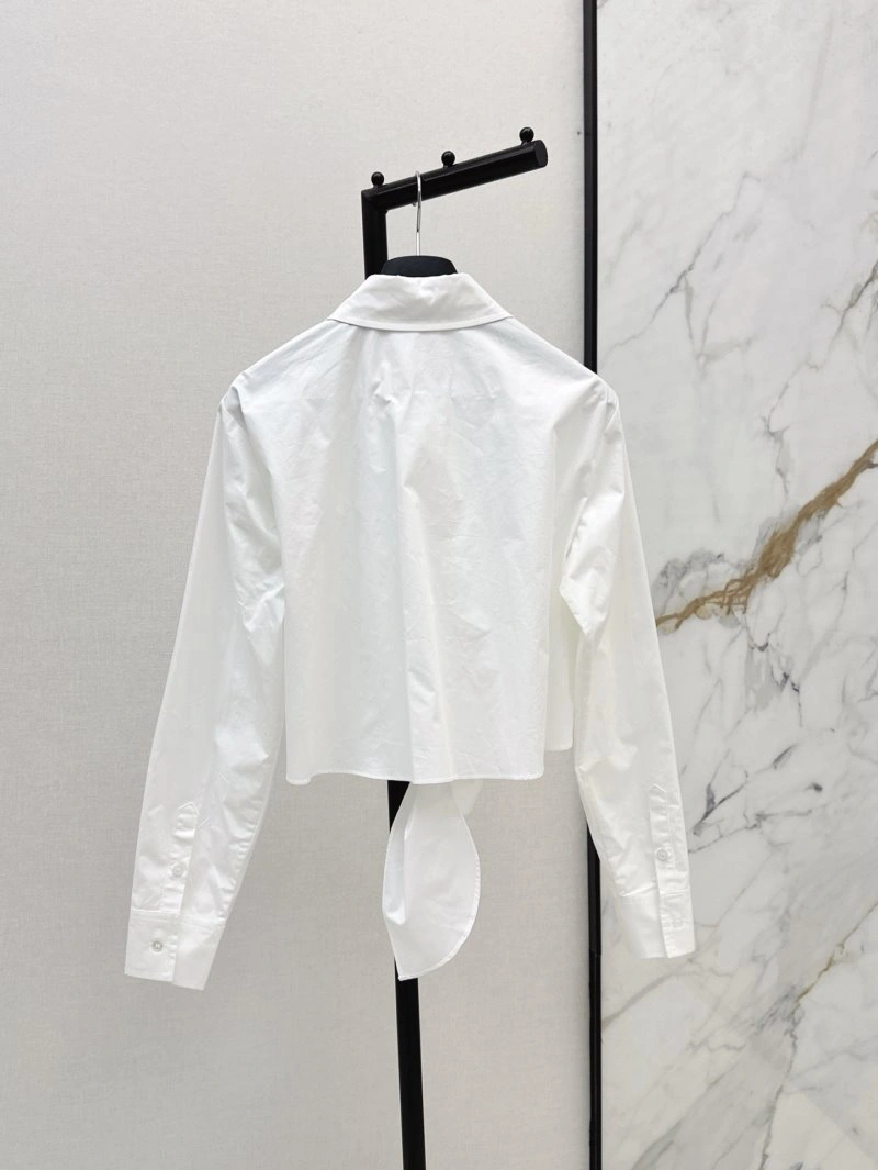 High accuracy Christian Dior Shirts