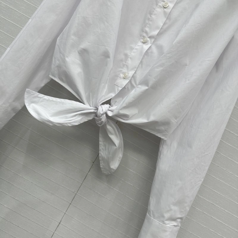 Mirror quality Christian Dior Shirts