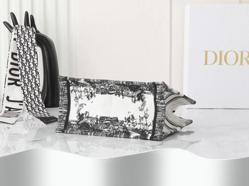 Indistinguishable Christian Dior Shopping Bags