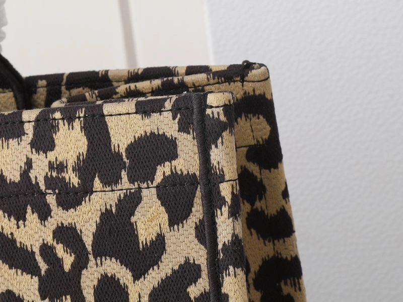 Official Christian Dior Shopping Bags