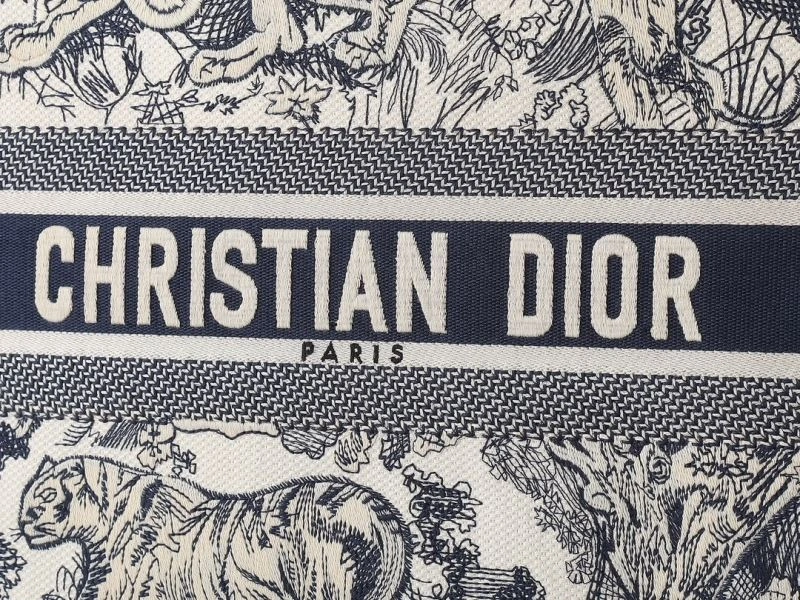 Accurate model Christian Dior Shopping Bags