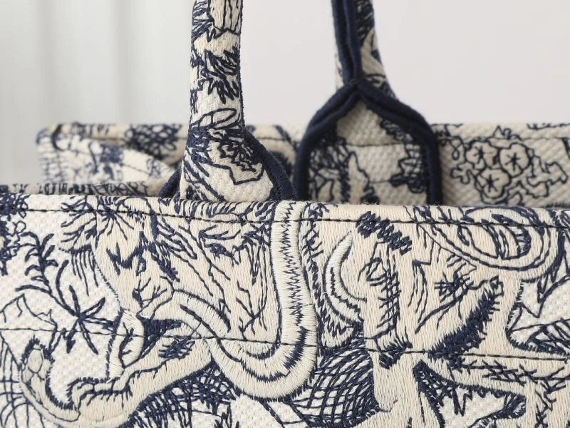 Accurate model Christian Dior Shopping Bags