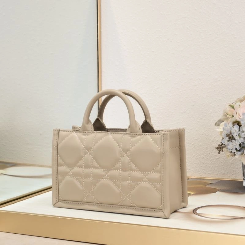 Accurate model Christian Dior Shopping Bags