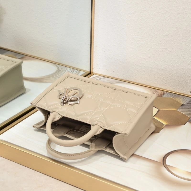 Accurate model Christian Dior Shopping Bags