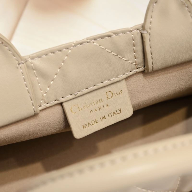 Accurate model Christian Dior Shopping Bags