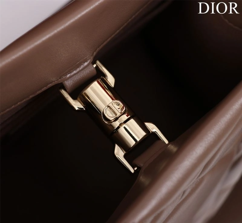 Perfect replica Christian Dior Shopping Bags
