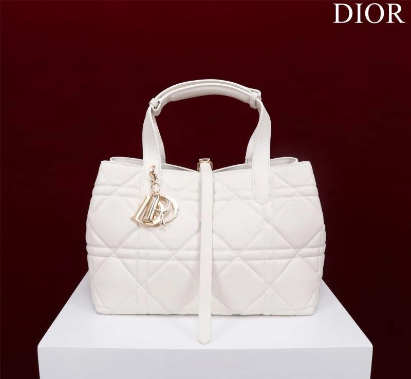 Christian Dior Shopping Bags