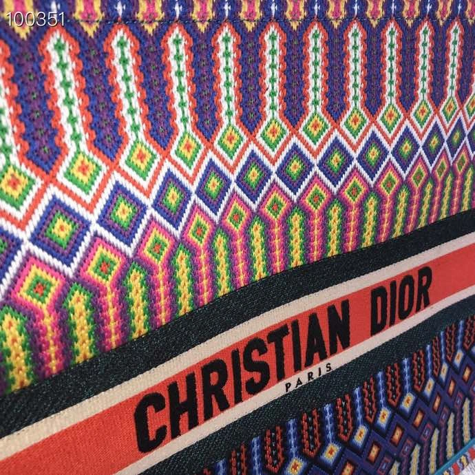 Accurate model Christian Dior Shopping Bags
