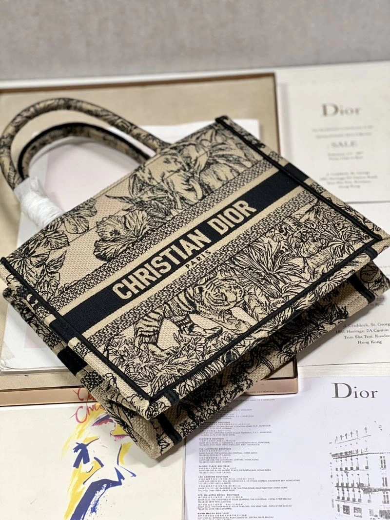 Accurate model Christian Dior Shopping Bags