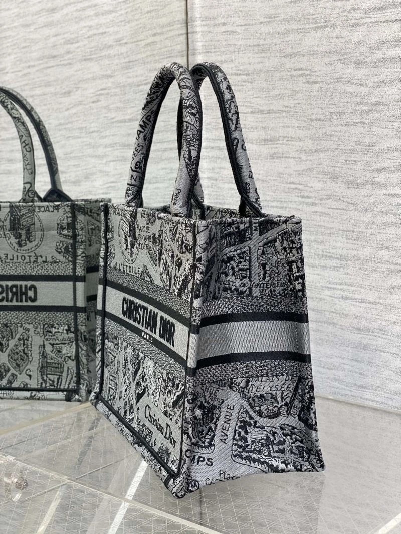 Economical Christian Dior Shopping Bags