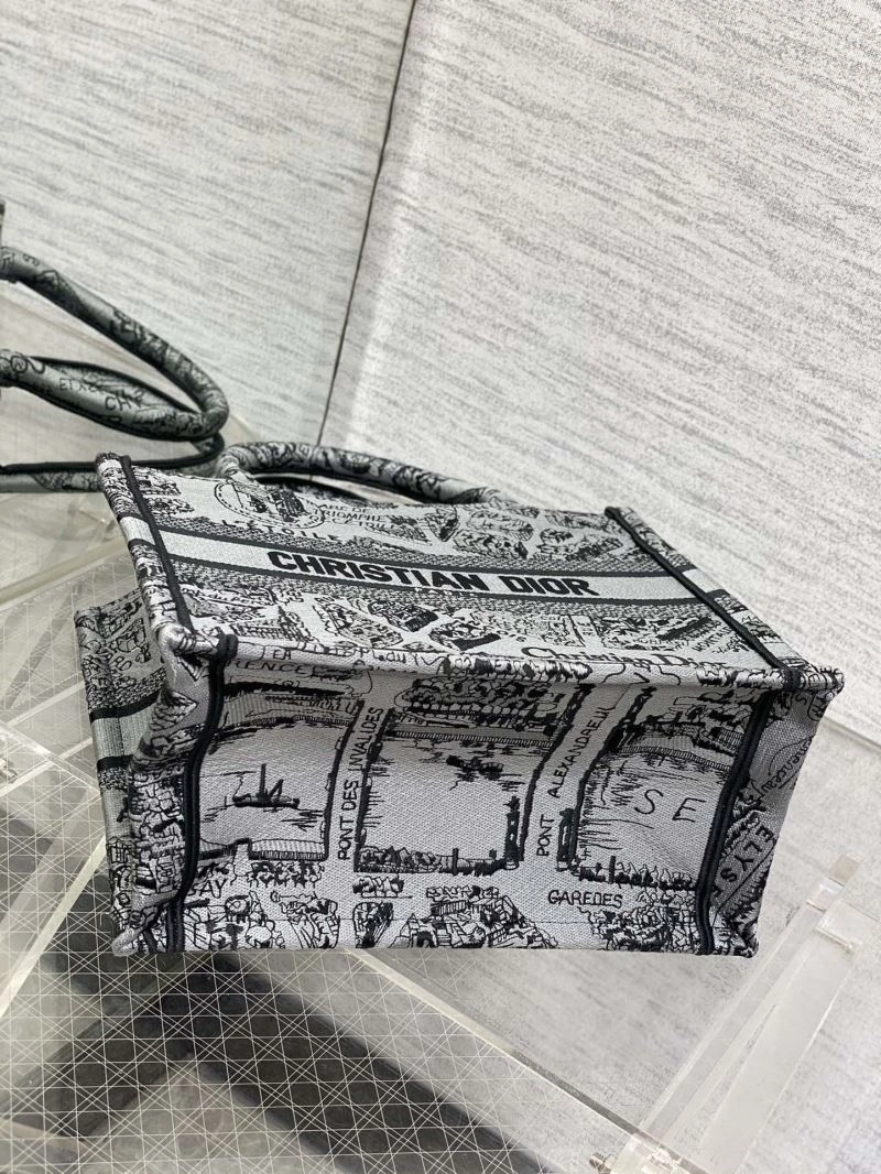 Economical Christian Dior Shopping Bags