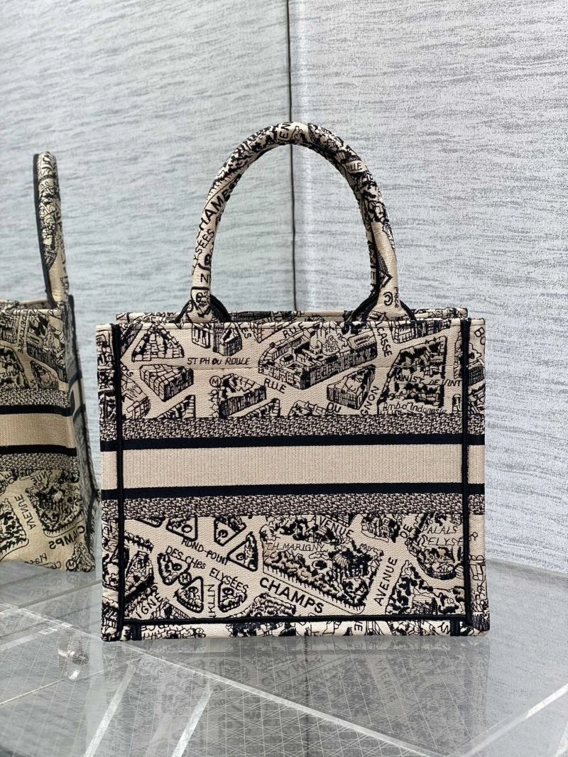 Official Christian Dior Shopping Bags