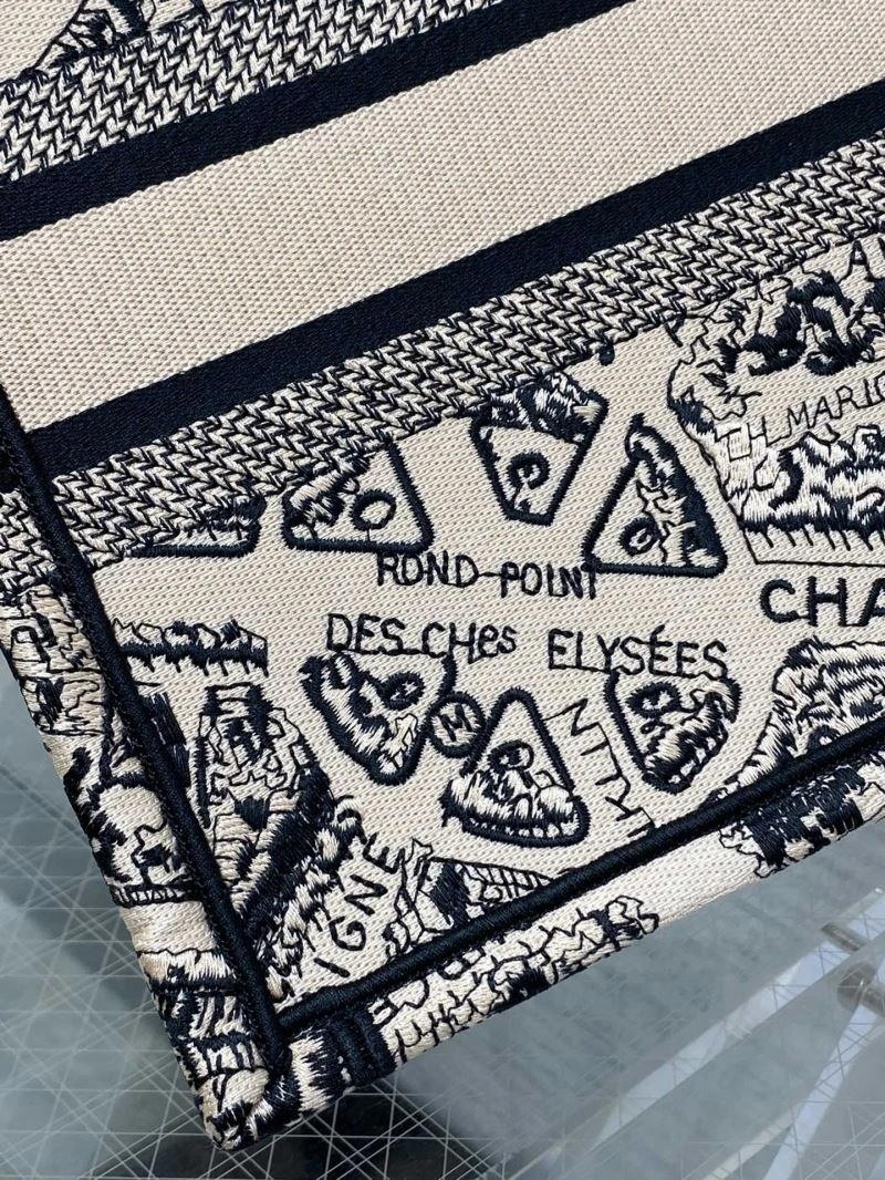 Official Christian Dior Shopping Bags